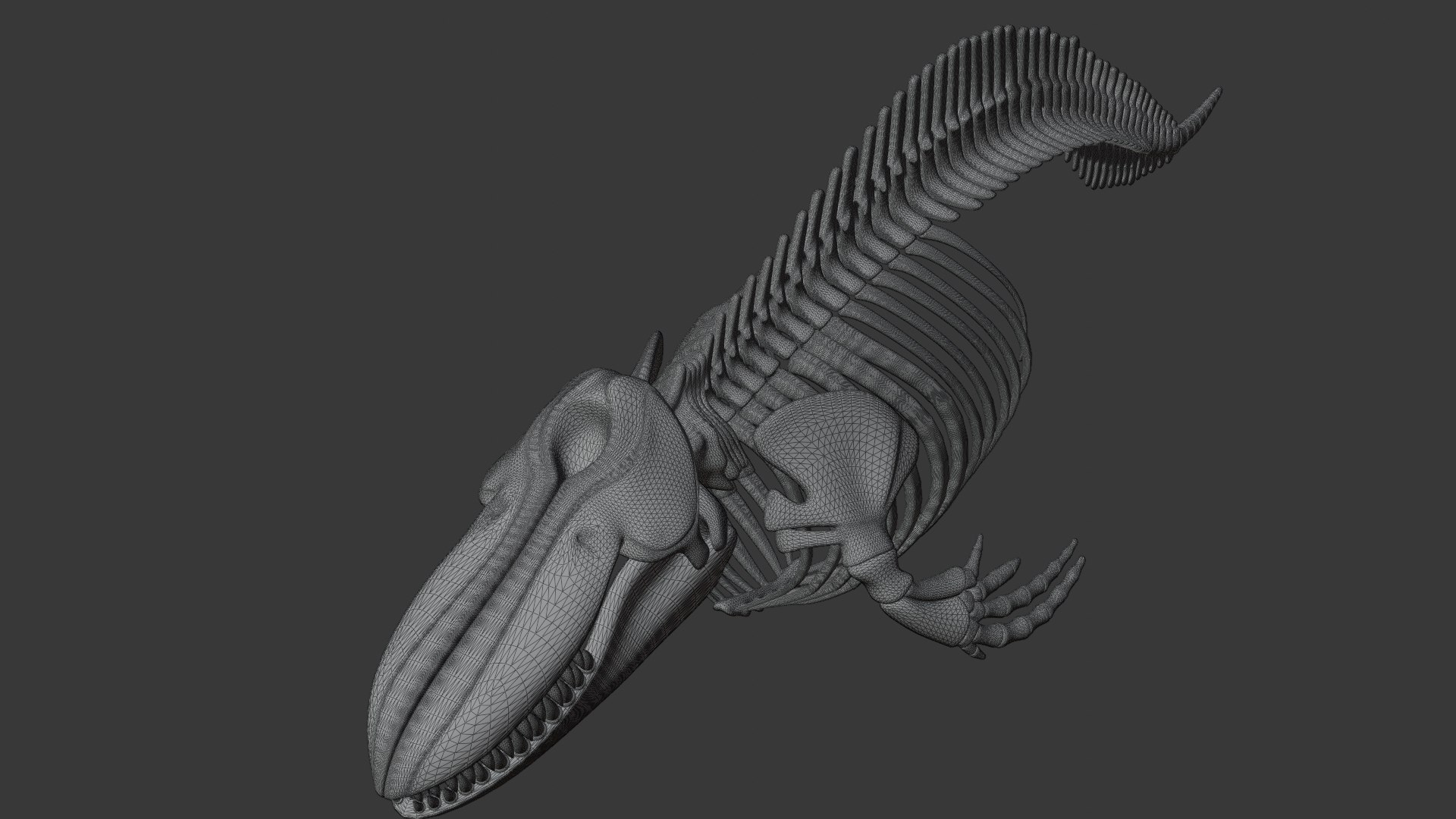 3D Killer Whale Orca Skeleton 3D Model Highly Detailed Clean Topology ...