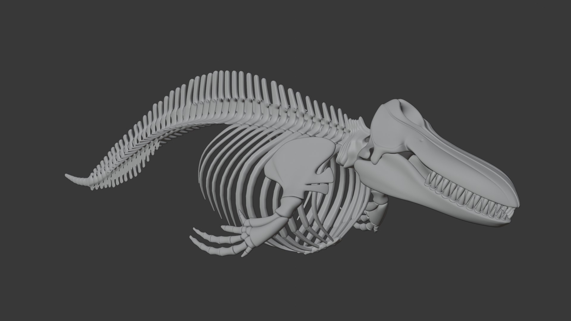 3D Killer Whale Orca Skeleton 3D Model Highly Detailed Clean Topology ...