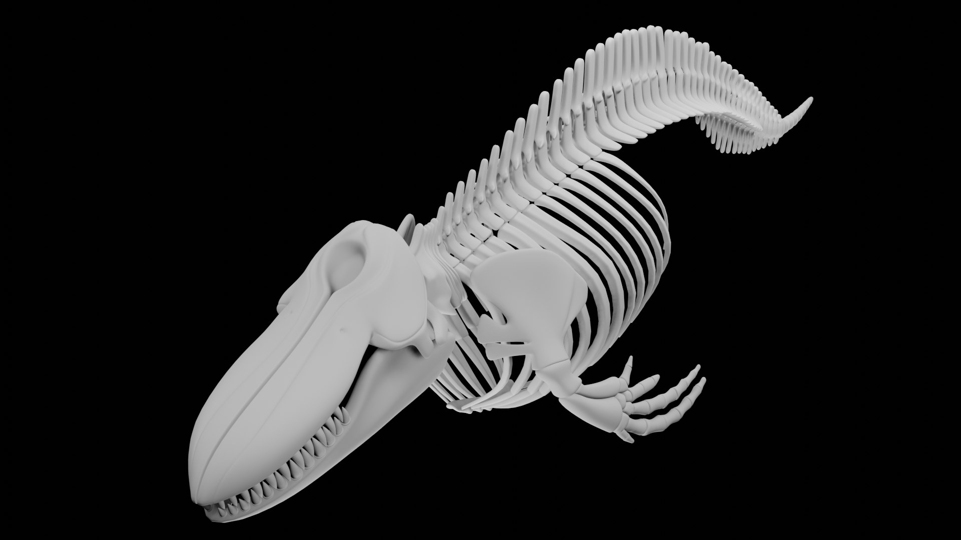 3D Killer Whale Orca Skeleton 3D Model Highly Detailed Clean Topology ...