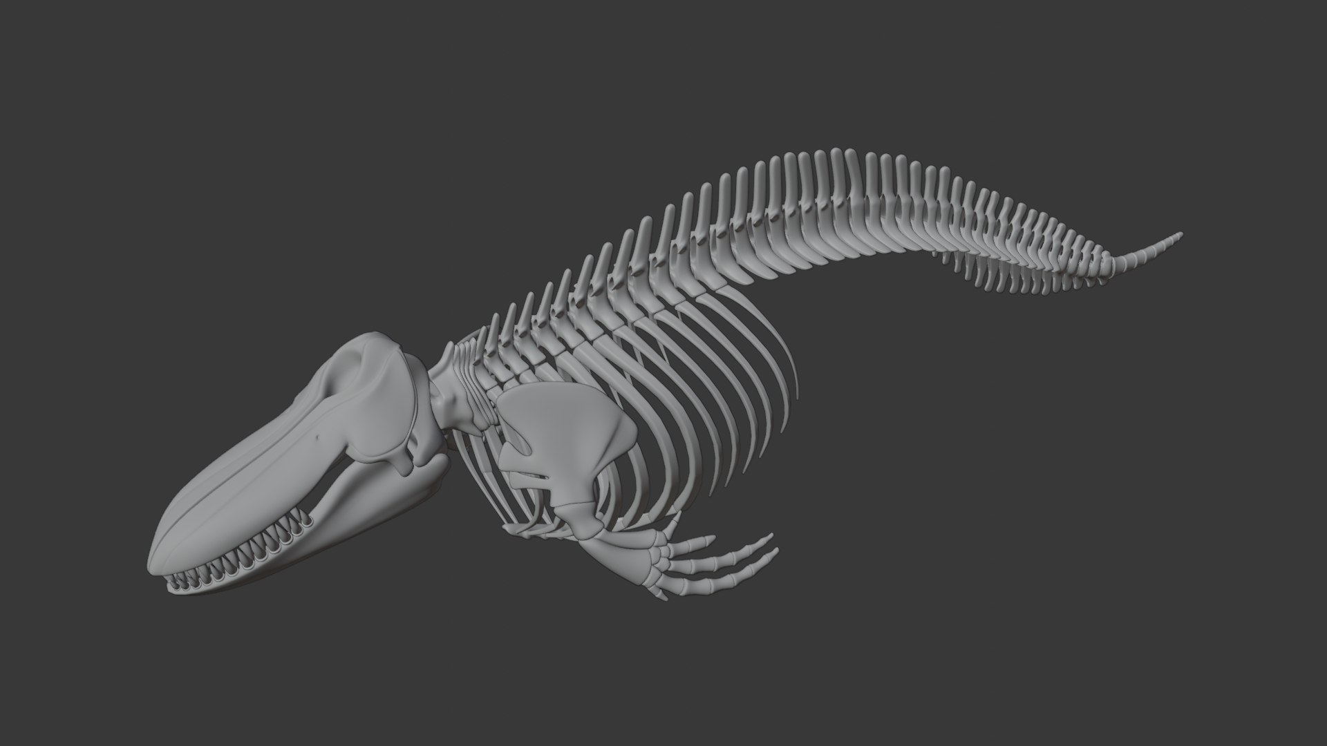 3D Killer Whale Orca Skeleton 3D Model Highly Detailed Clean Topology ...