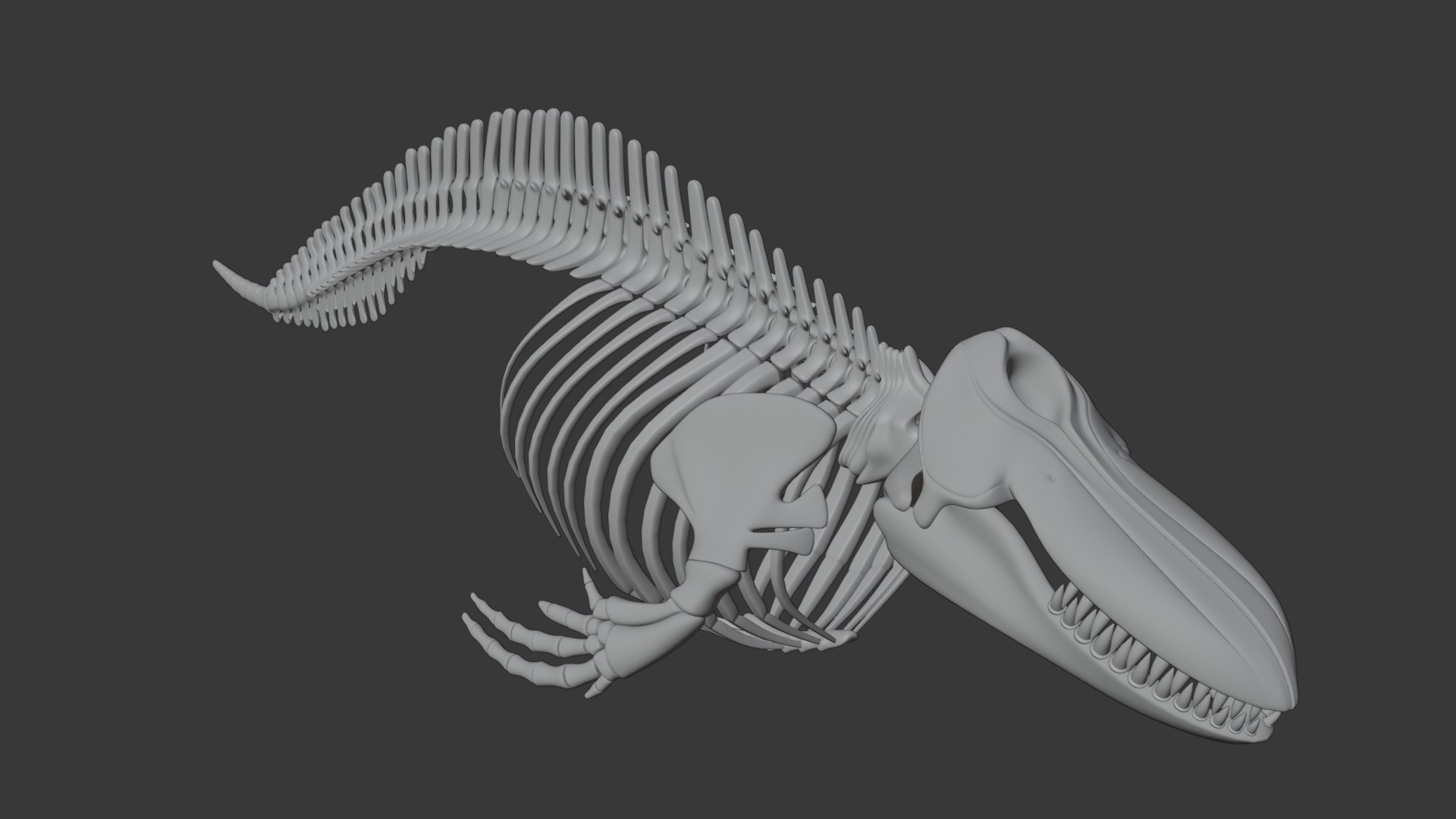 3D Killer Whale Orca Skeleton 3D Model Highly Detailed Clean Topology ...