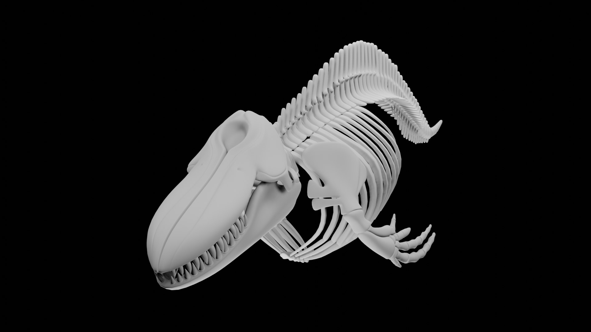3D Killer Whale Orca Skeleton 3D Model Highly Detailed Clean Topology ...