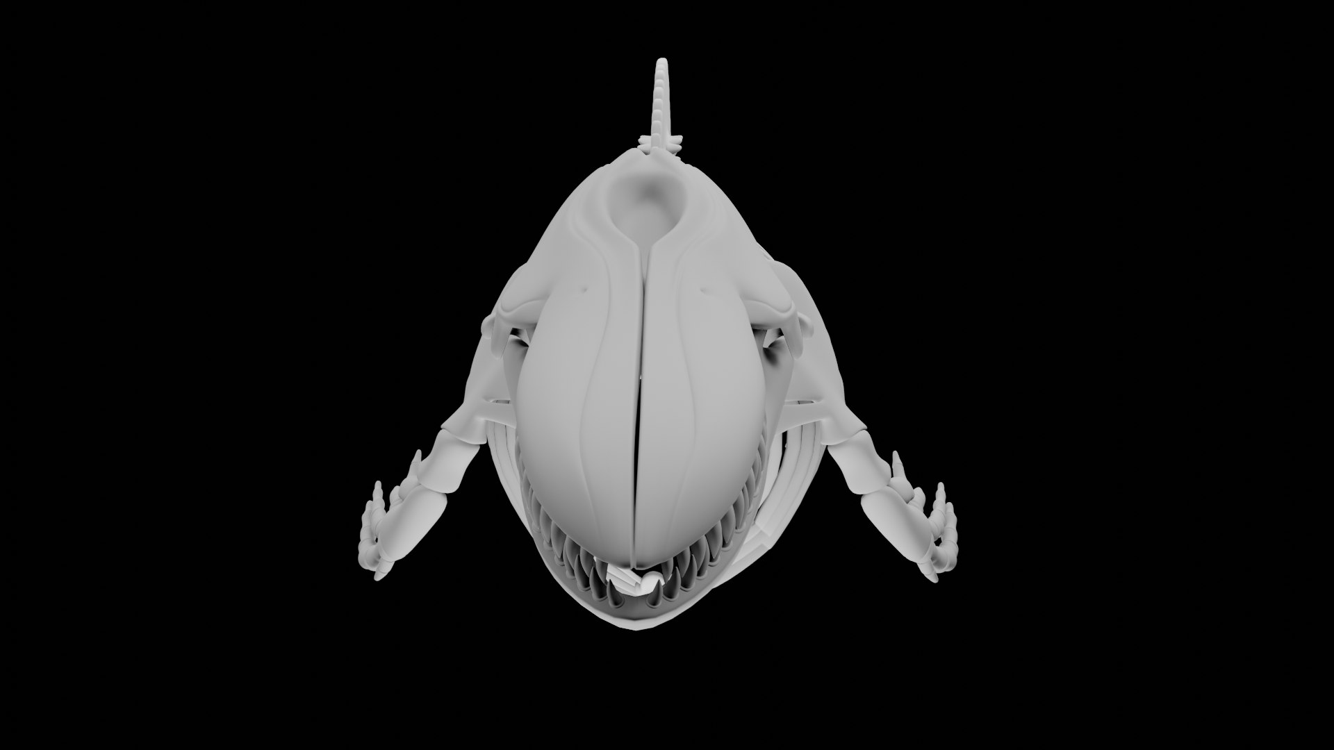 3D Killer Whale Orca Skeleton 3D Model Highly Detailed Clean Topology ...