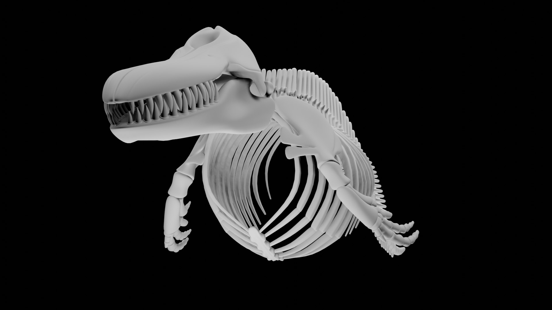 3D Killer Whale Orca Skeleton 3D Model Highly Detailed Clean Topology ...