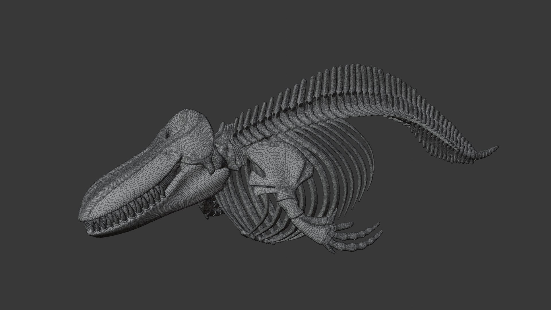 3D Killer Whale Orca Skeleton 3D Model Highly Detailed Clean Topology ...