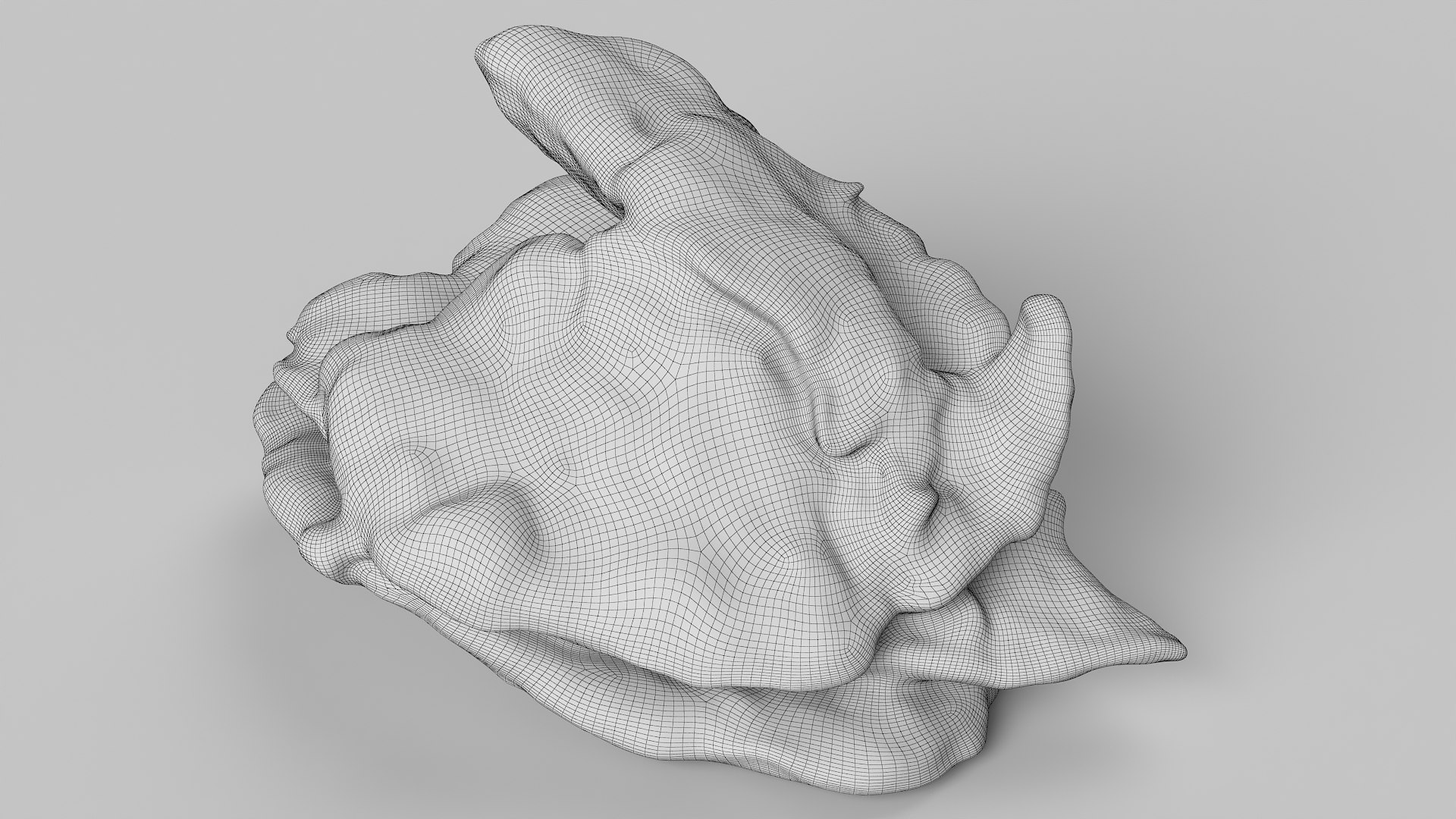 Schnitzel 01 3D - TurboSquid 1985923