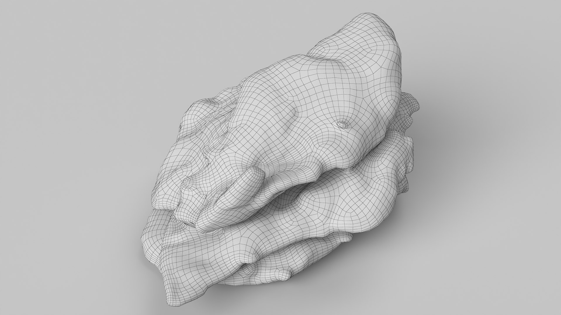 Schnitzel 01 3D - TurboSquid 1985923