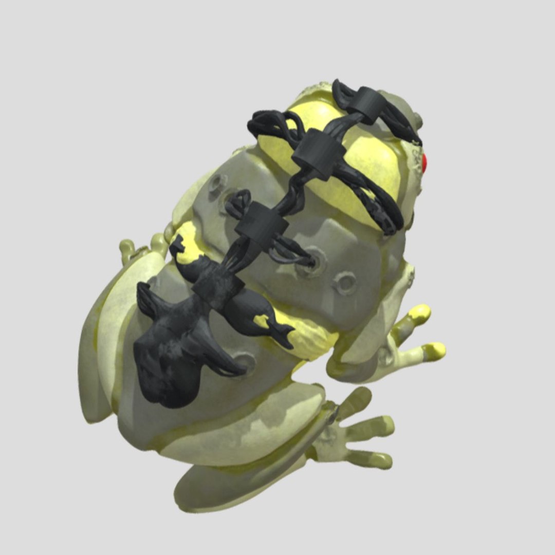 3D Model Cyber Frog - TurboSquid 1546633