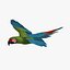 ara militaris macaw parrot 3d obj