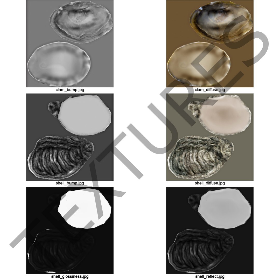 oyster modeled model