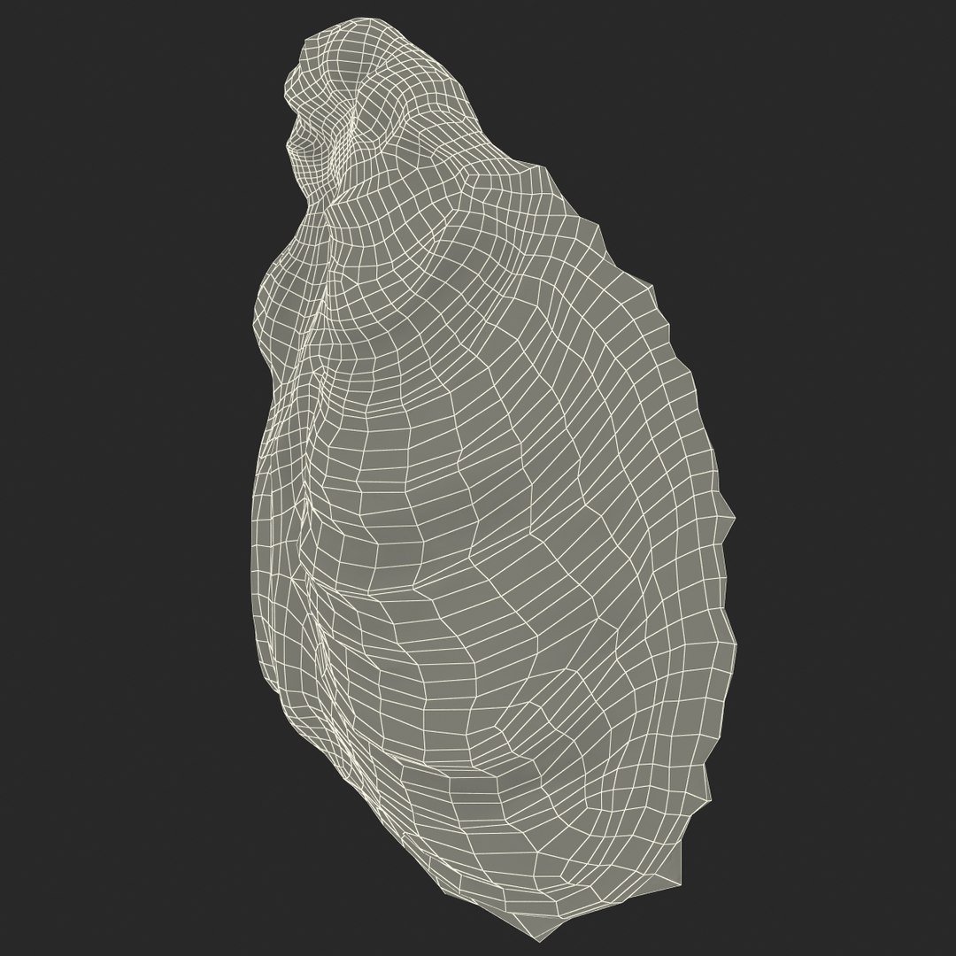 oyster modeled model