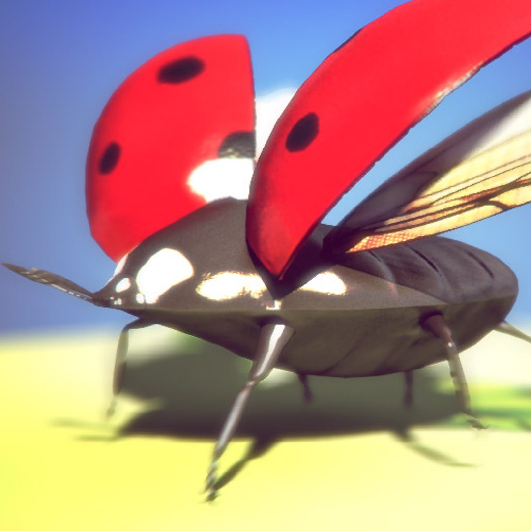3d Ladybug Rigged Model