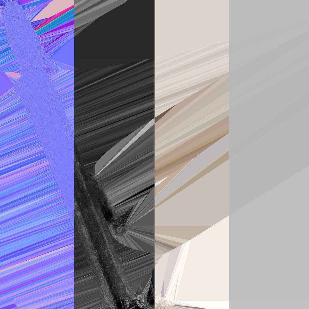 3D Bear Ursus Rib T6 Model - TurboSquid 2163643