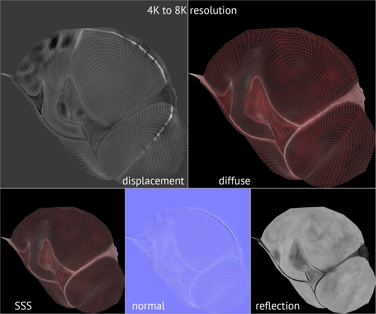3ds Max Anatomical Human Liver