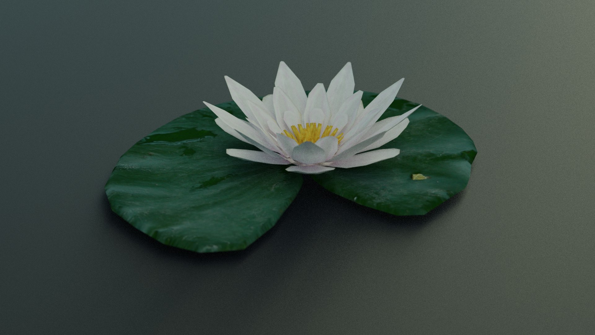 3D Water Lily - TurboSquid 2142820