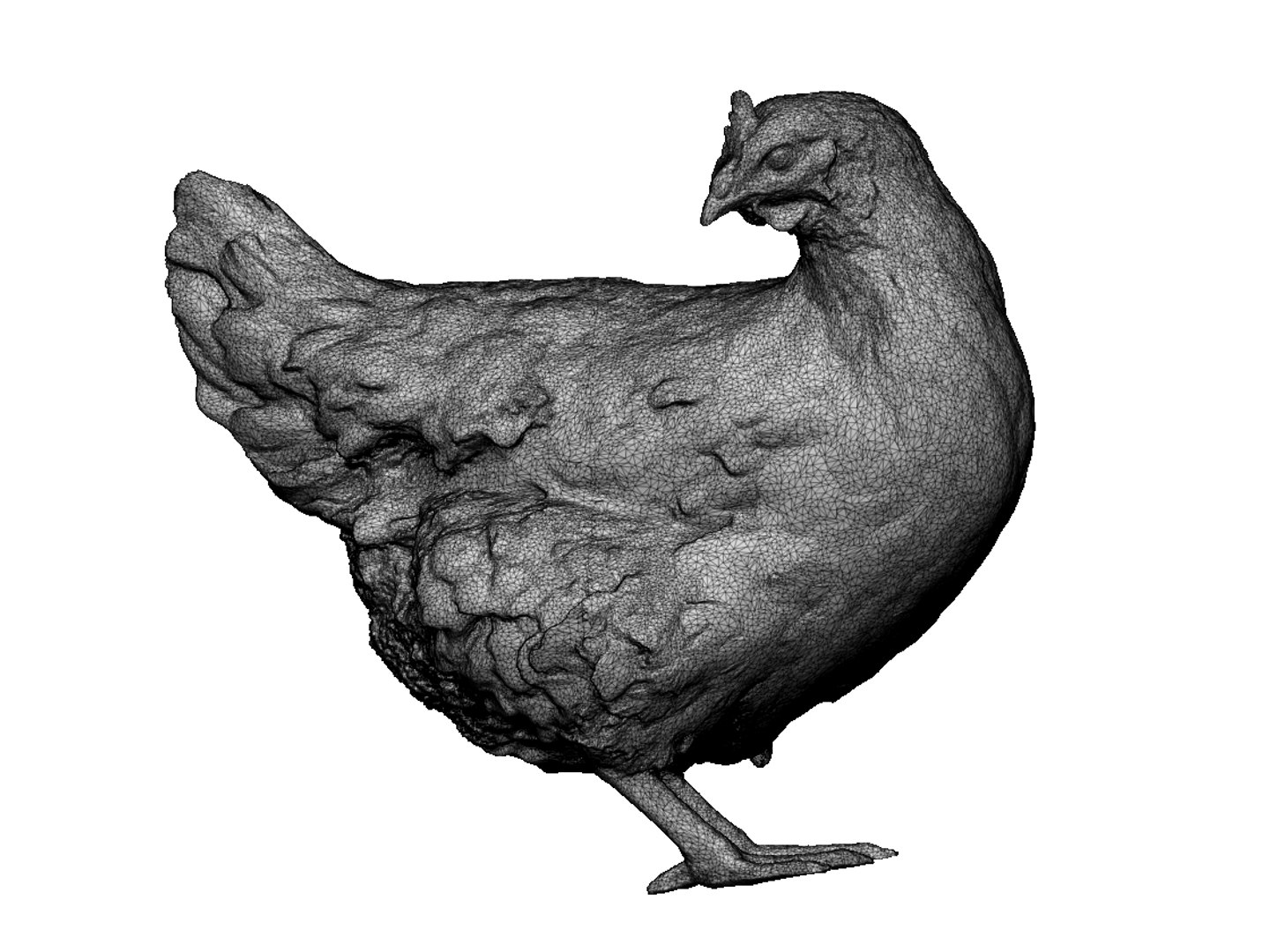 3D Real Chicken Scanned Model - TurboSquid 1387065