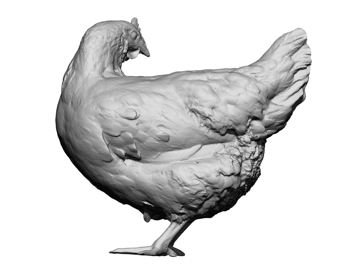 3D Real Chicken Scanned Model - TurboSquid 1387065