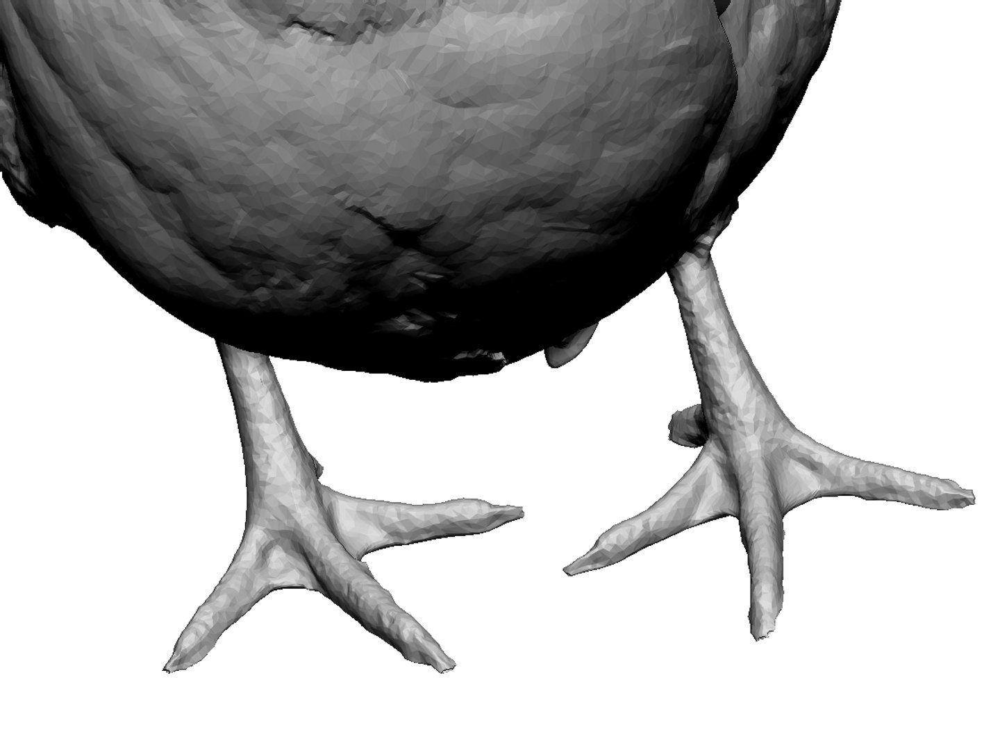 3D Real Chicken Scanned Model - TurboSquid 1387065