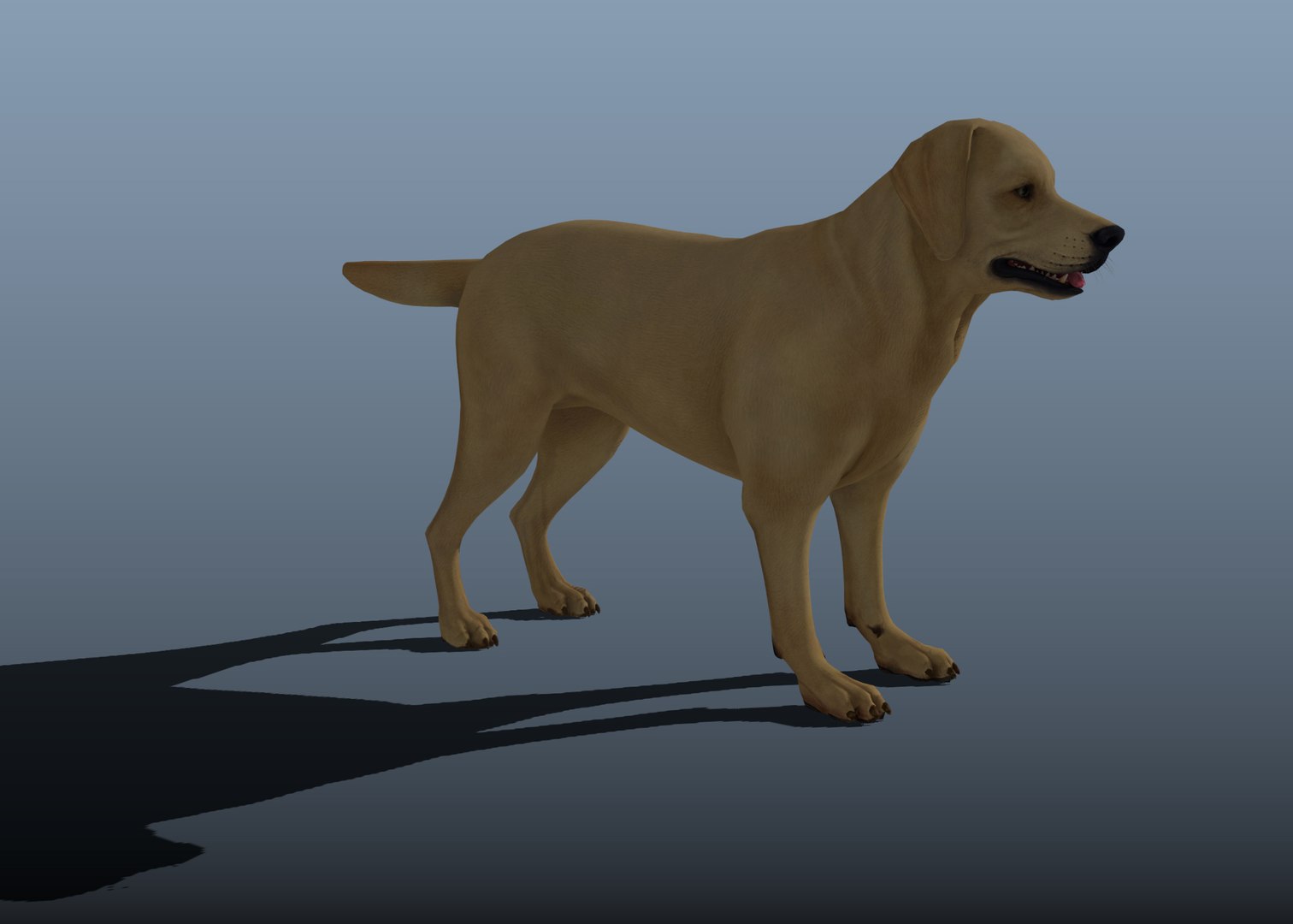 Dog rig animations 3D model - TurboSquid 1338033