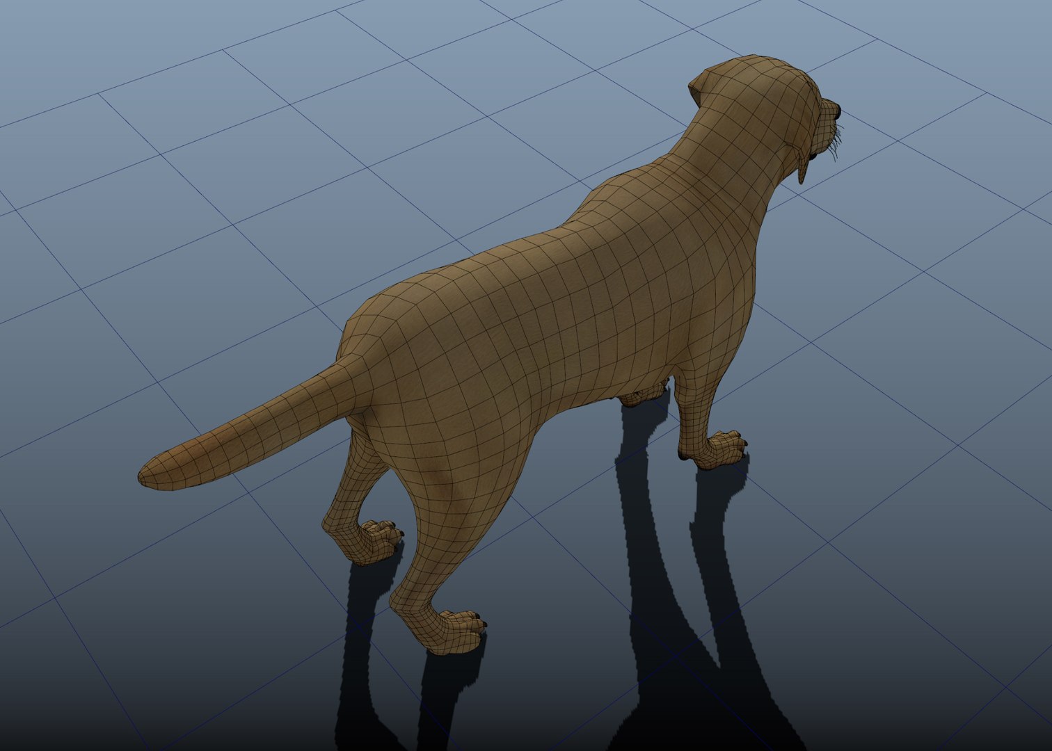 Dog rig animations 3D model - TurboSquid 1338033