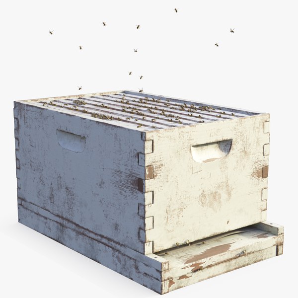 Painted brood box cedar 3D - TurboSquid 1486449