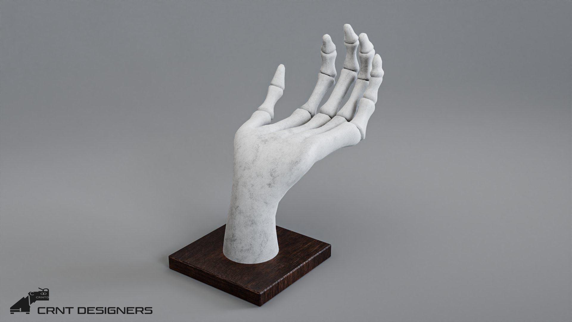Human Hand Skeleton 3D Model - TurboSquid 2296606