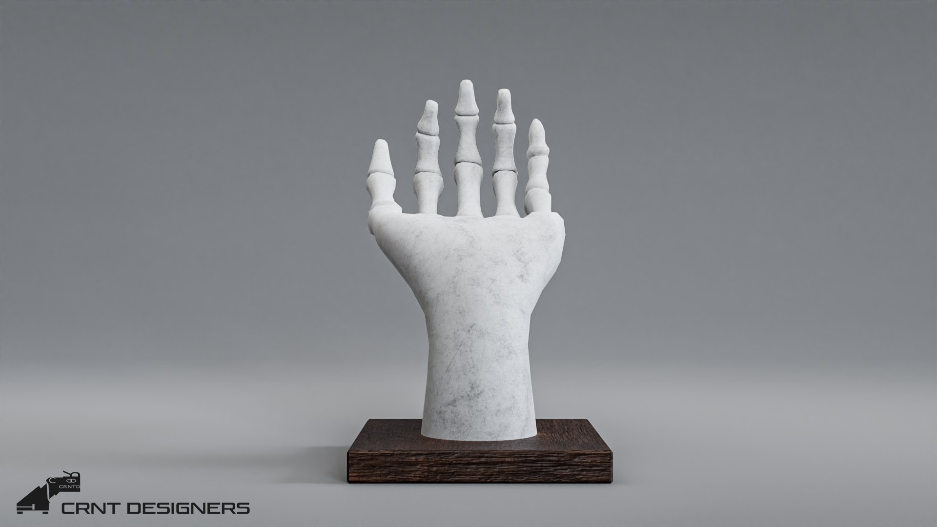 Human Hand Skeleton 3D Model - TurboSquid 2296606