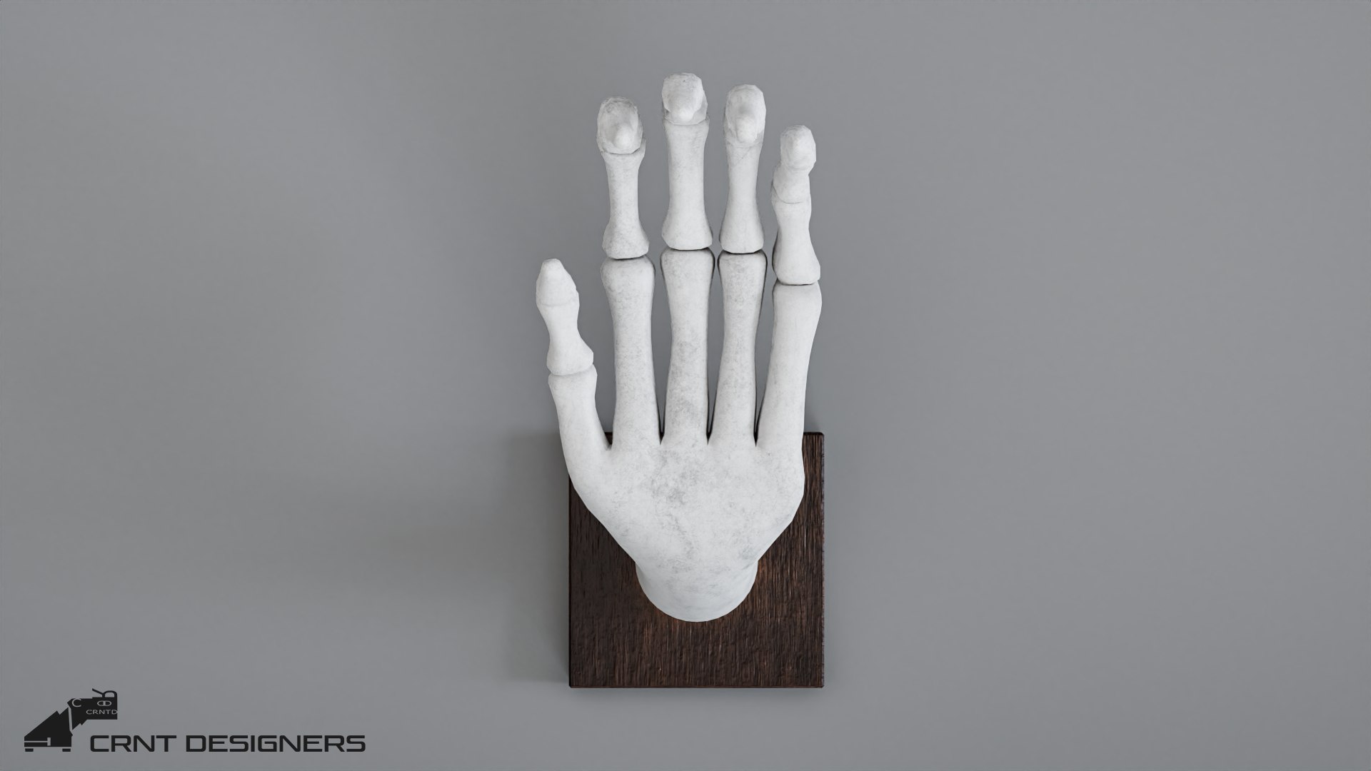 Human Hand Skeleton 3D Model - TurboSquid 2296606