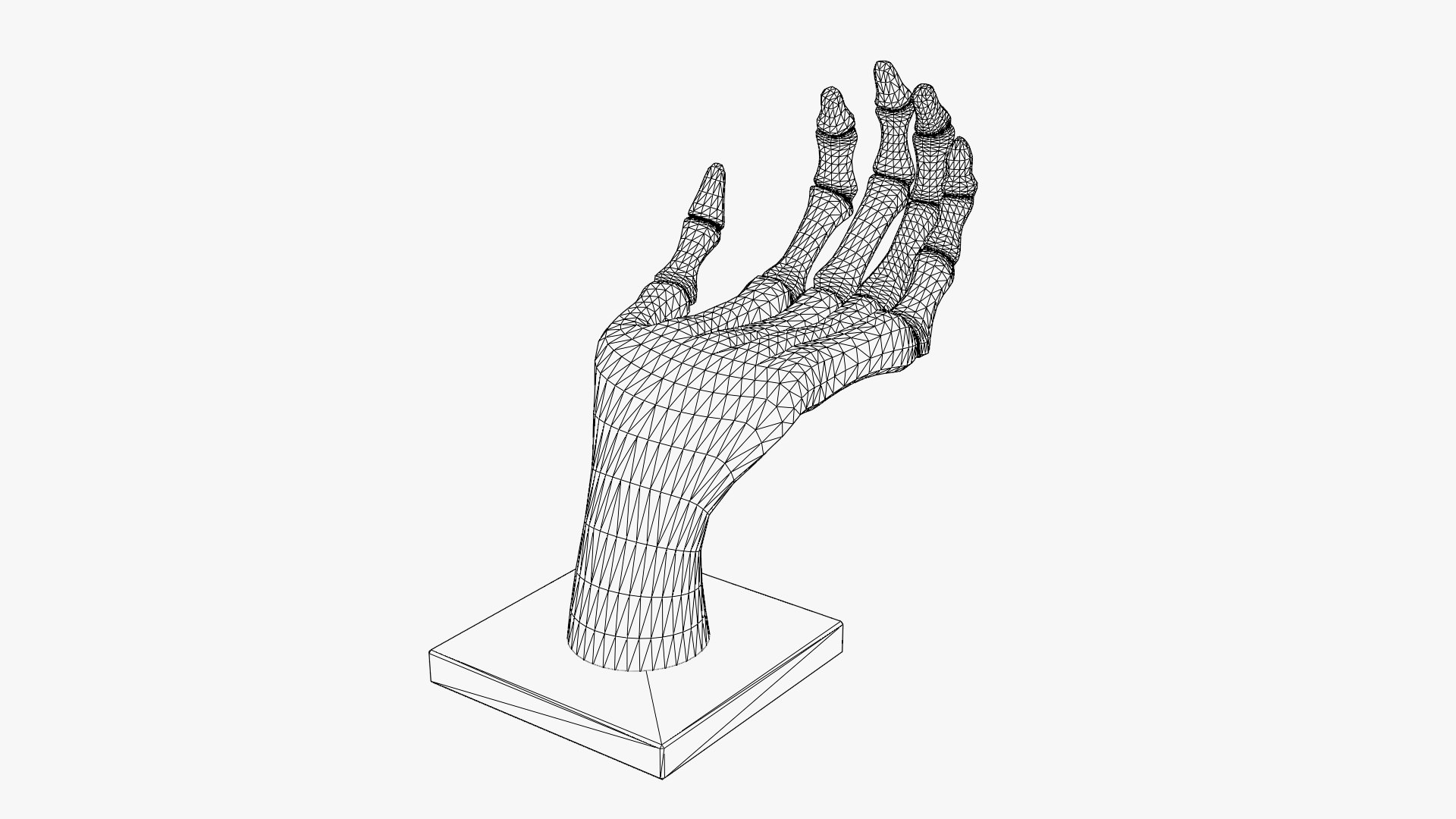 Human Hand Skeleton 3D Model - TurboSquid 2296606