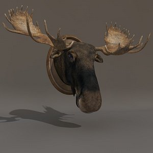 Free 3D Moose-Head Models | TurboSquid