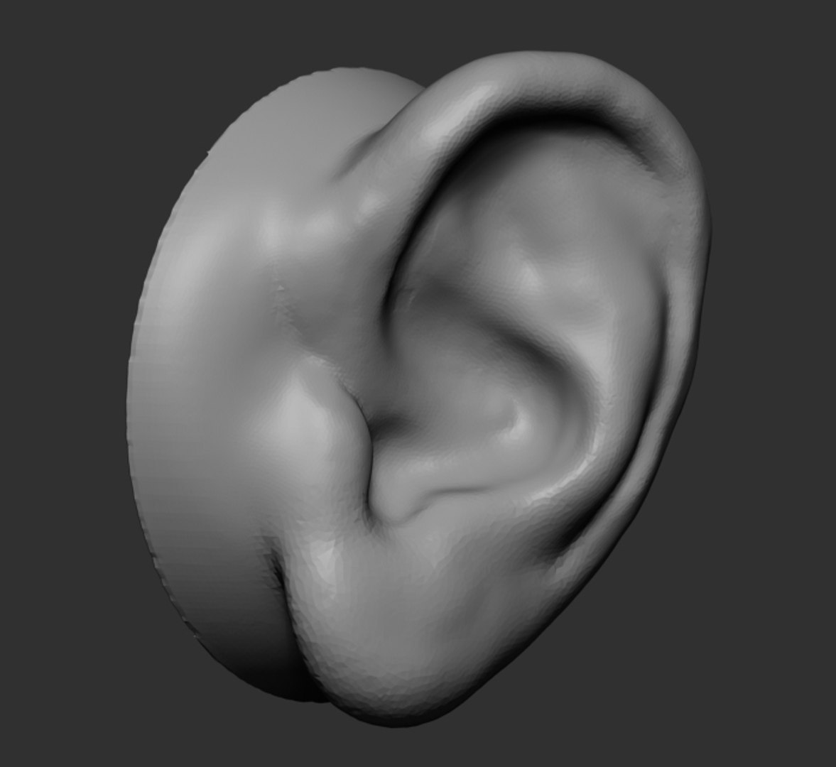 Ear ztl zbrush 3D - TurboSquid 1314252
