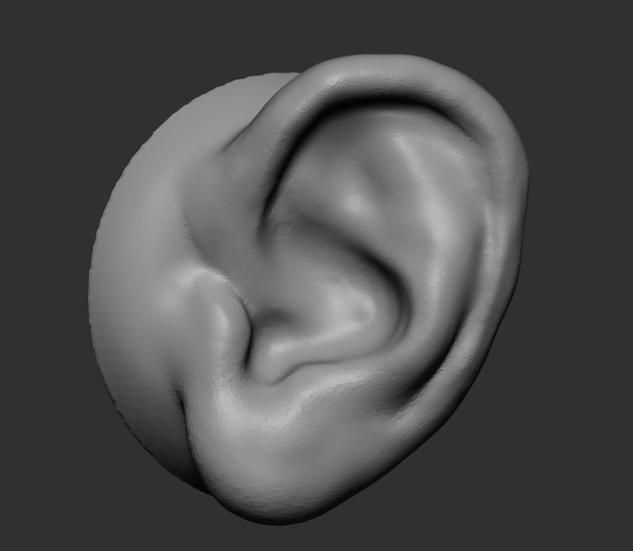 Ear ztl zbrush 3D - TurboSquid 1314252