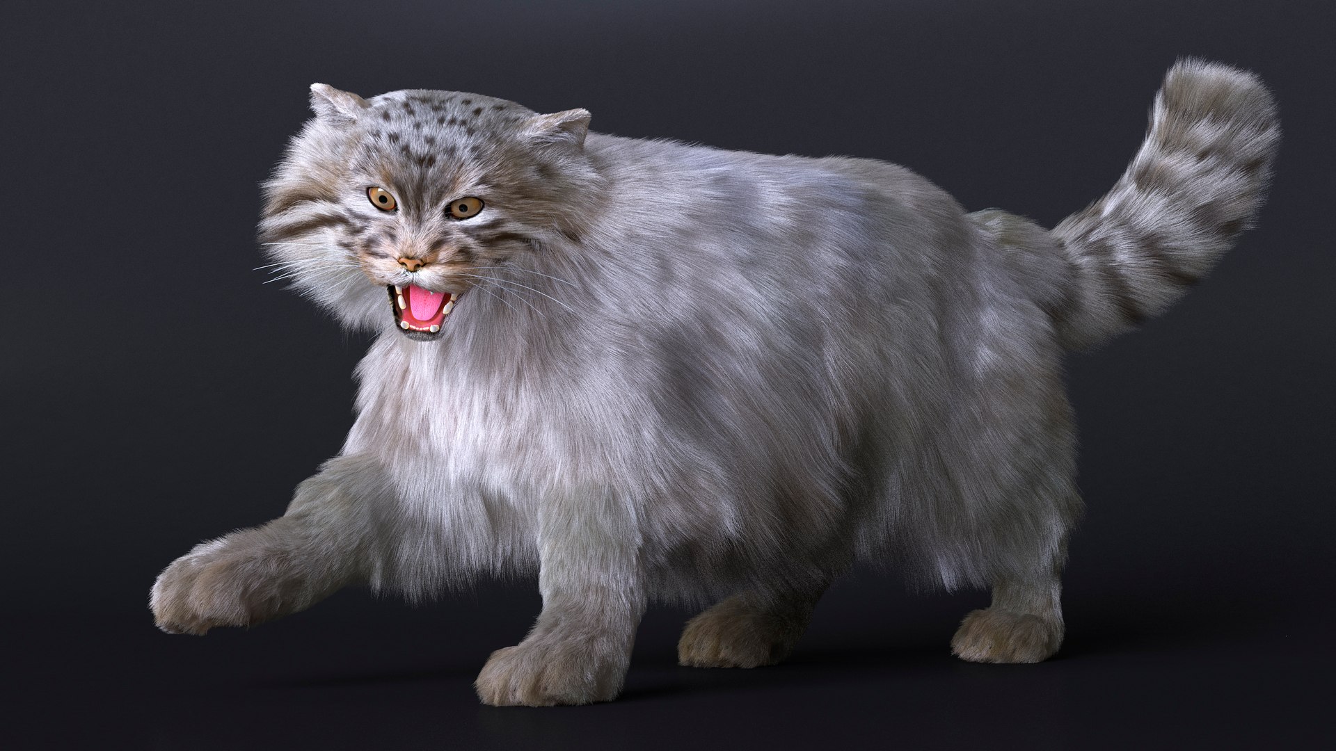 3D Pallas Cat Fur Rigged Model - TurboSquid 2193291