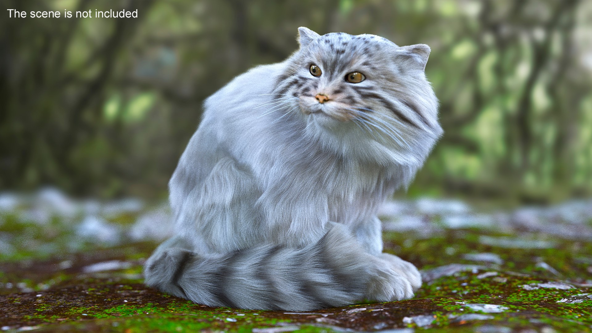 3D Pallas Cat Fur Rigged Model - TurboSquid 2193291