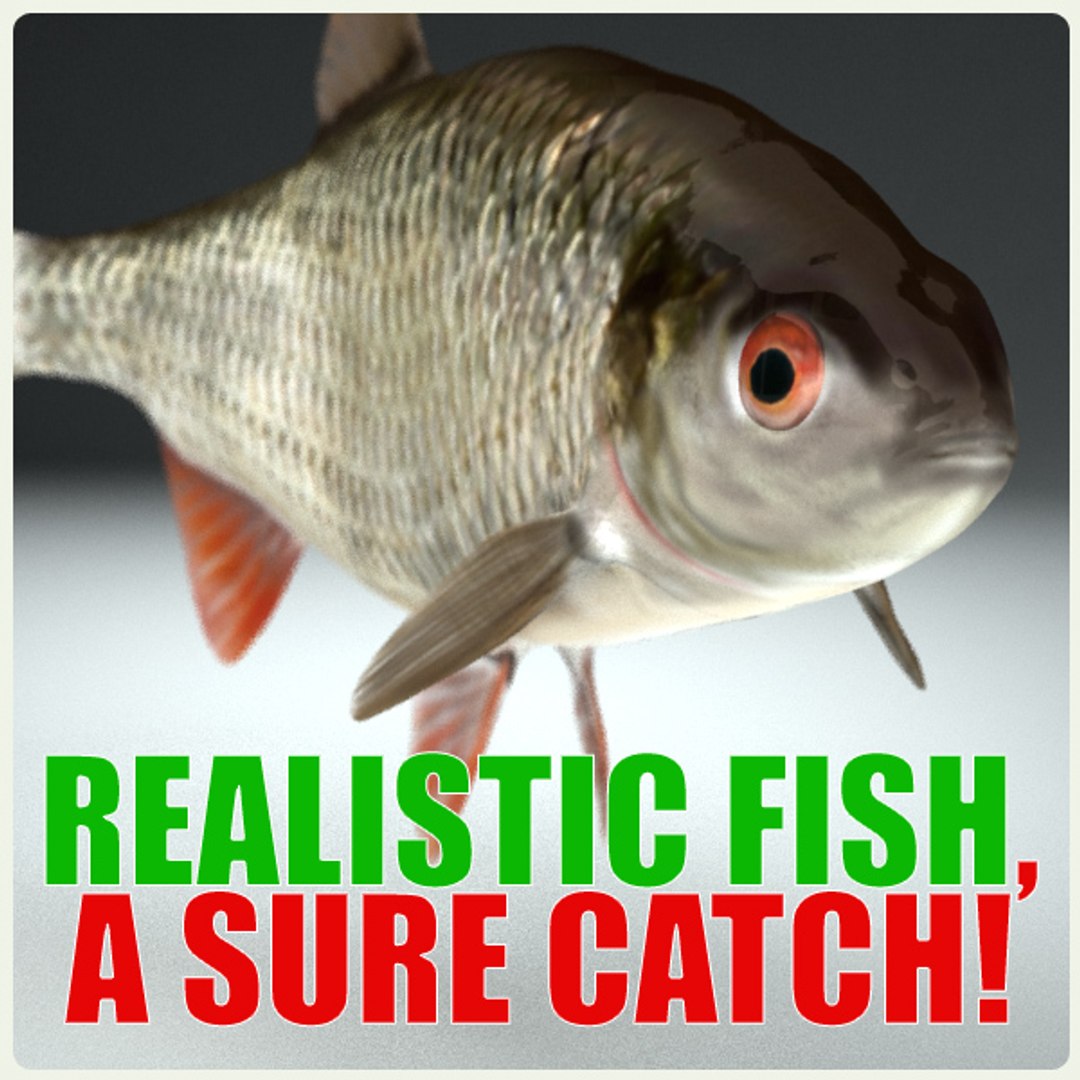 3d Fish Roach Model