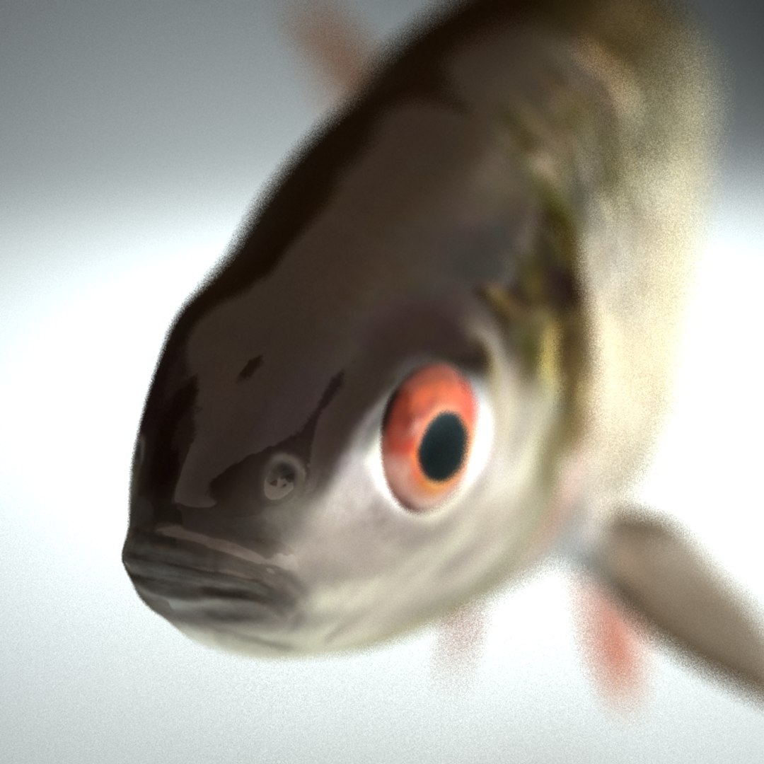 3d Fish Roach Model