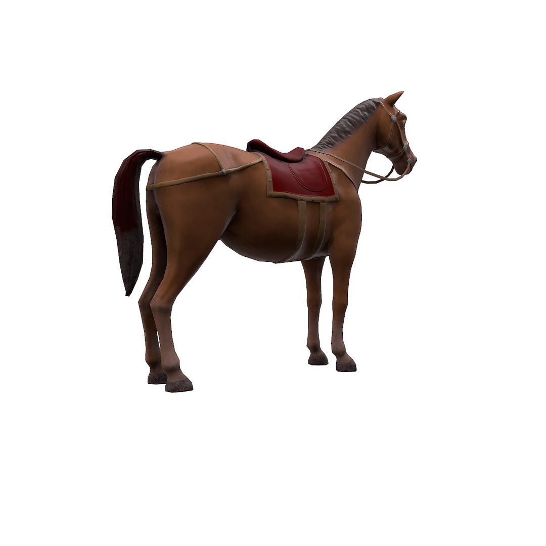 Horse Saddle Animations 3D Model - TurboSquid 1206653