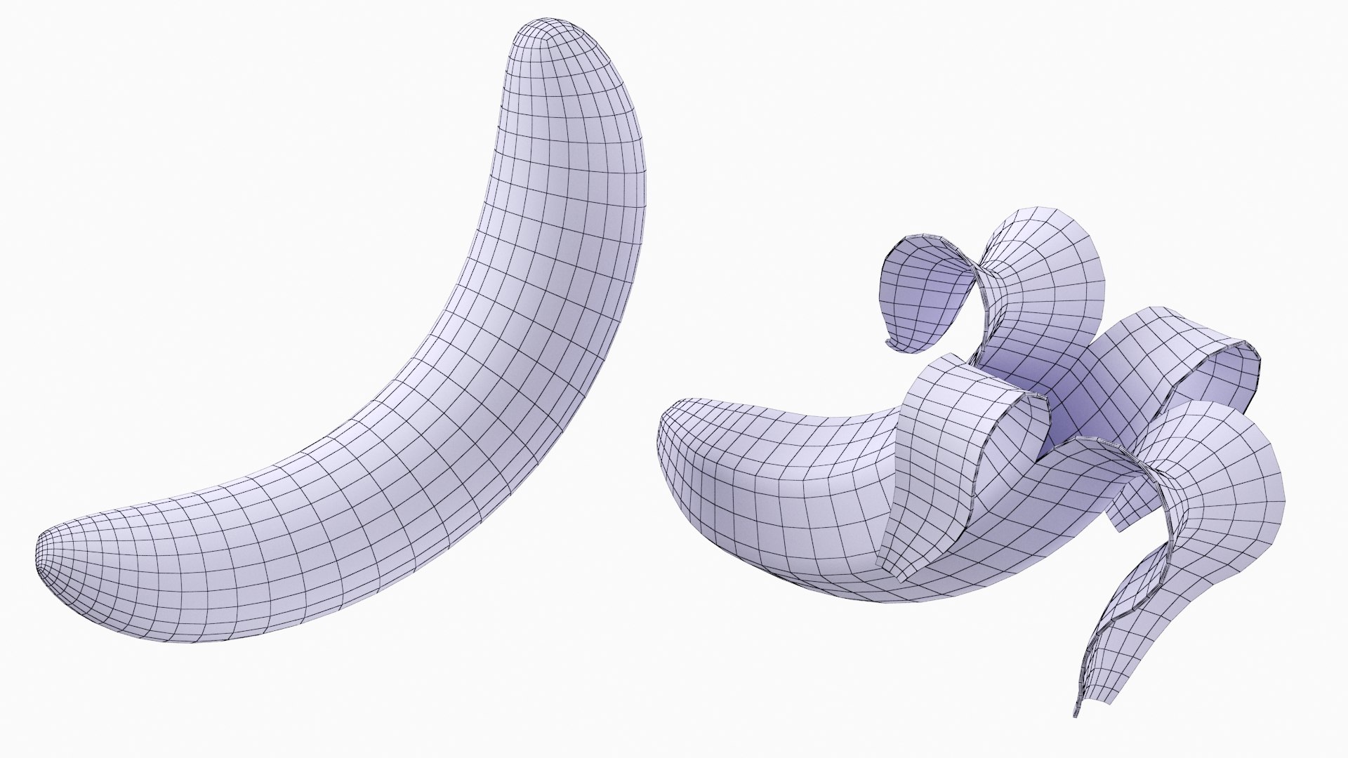 3D Model Banana 02 - TurboSquid 2222537