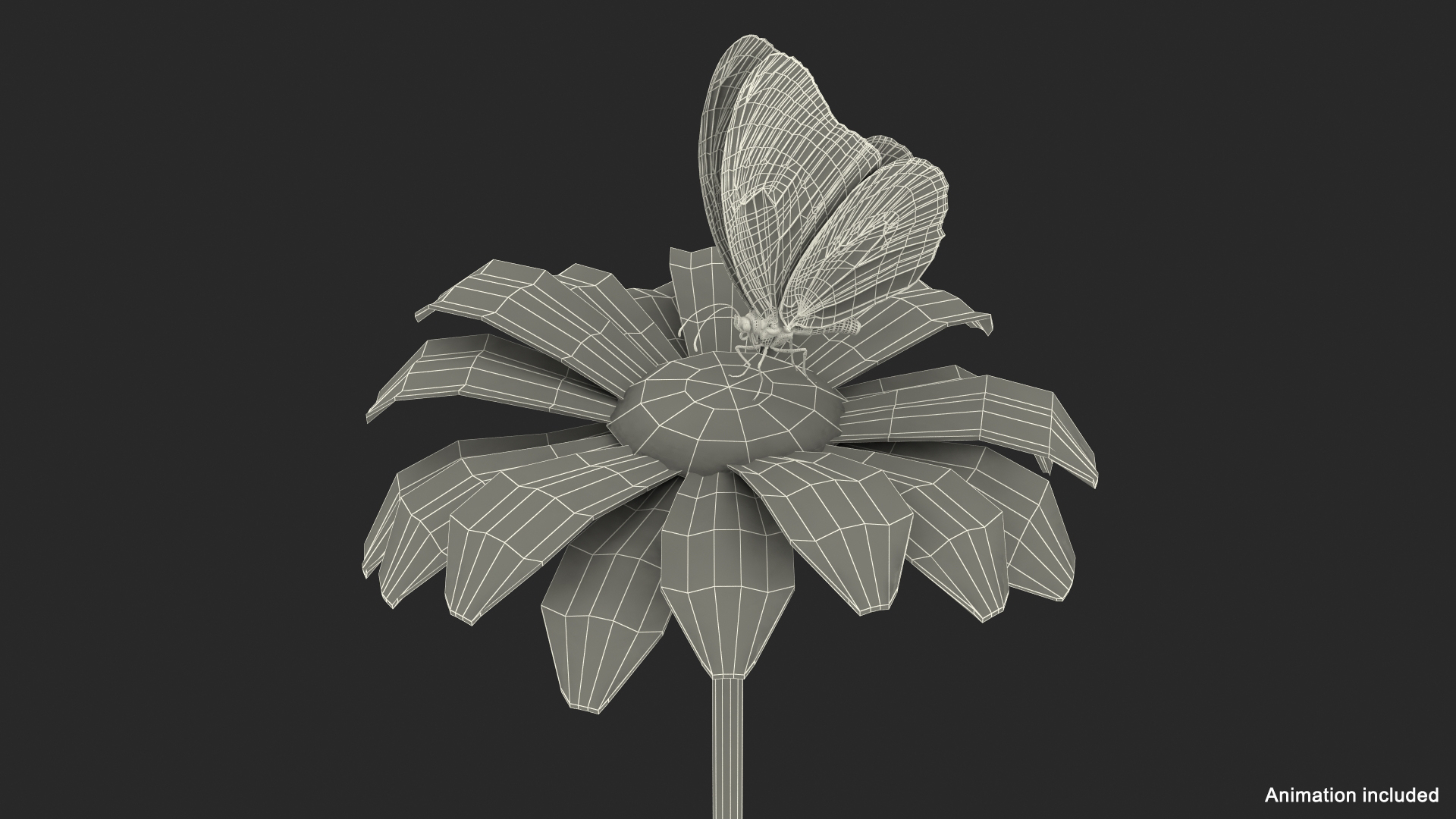 Monarch Butterfly Collects Nectar 3D Model - TurboSquid 1566666