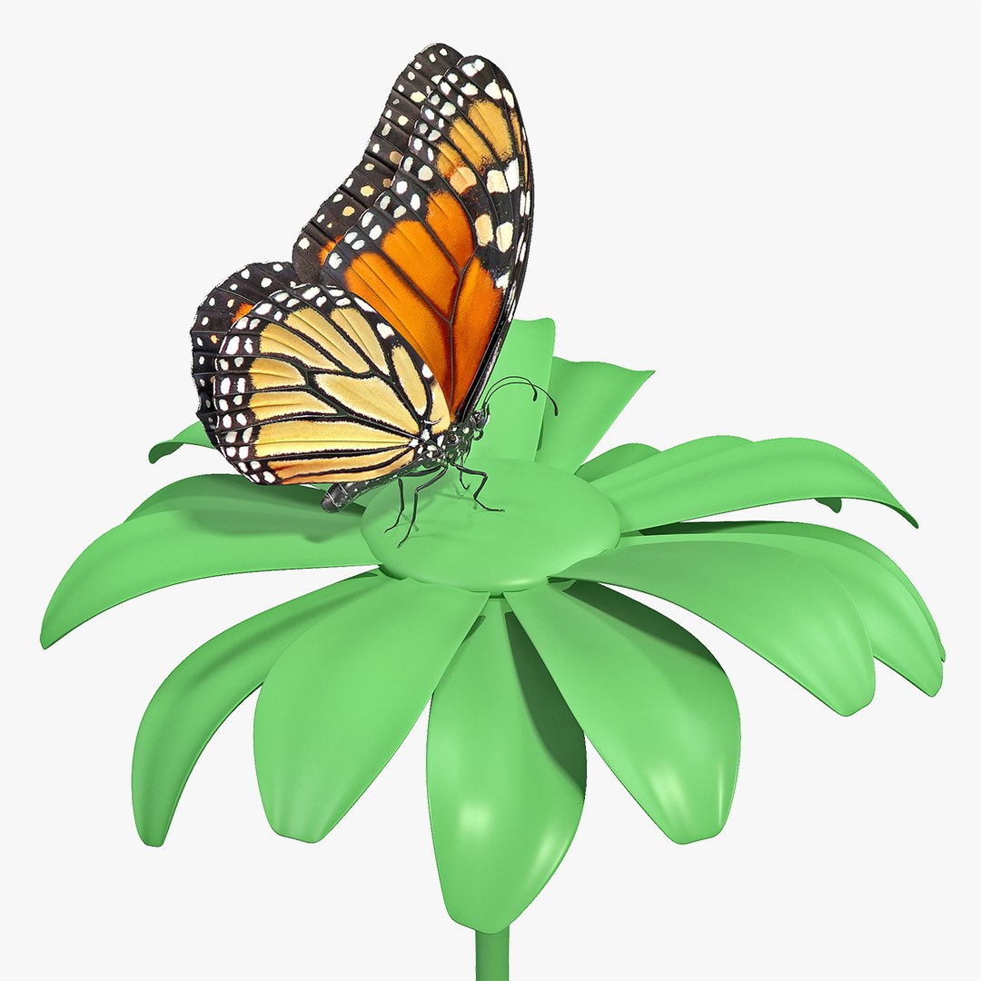 Monarch butterfly collects nectar 3D model - TurboSquid 1566666