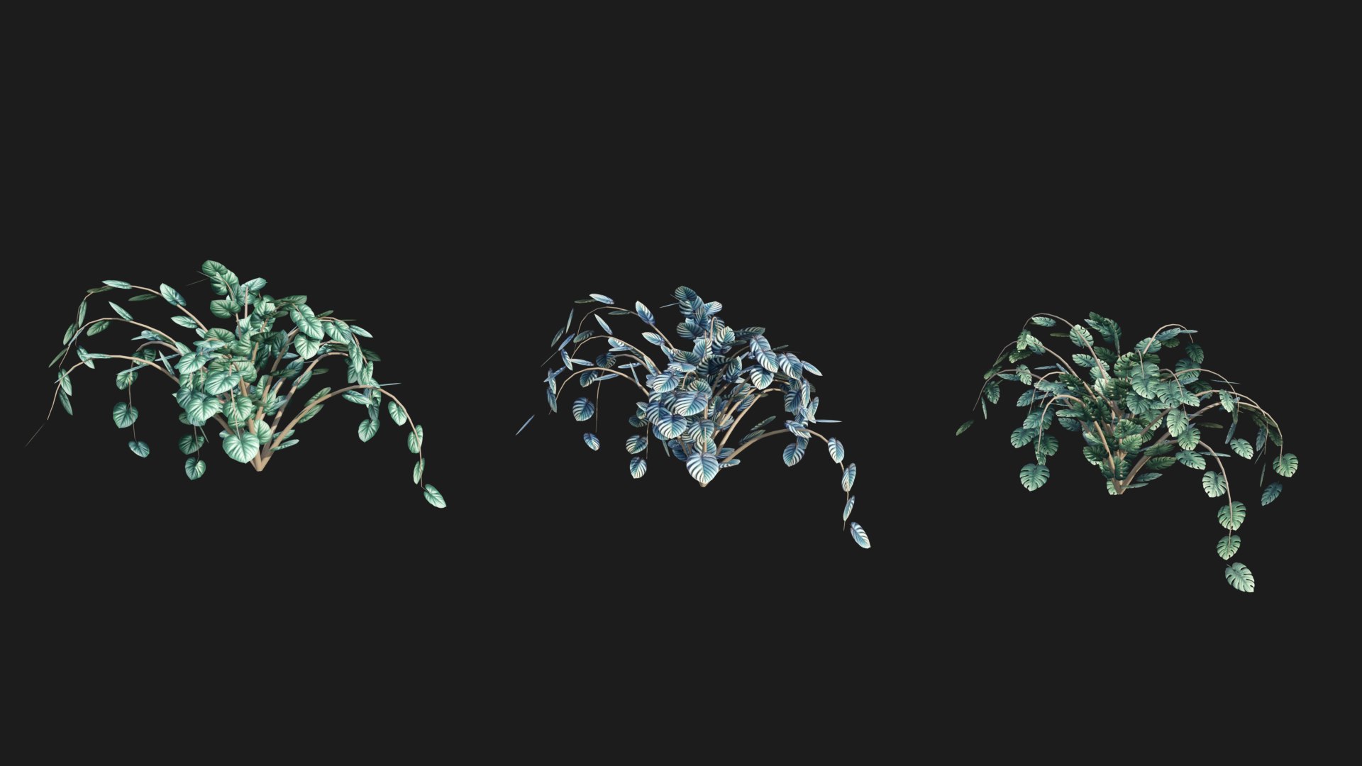 3D Types Texture Of Leaves And Trees Low Poly - TurboSquid 2226330
