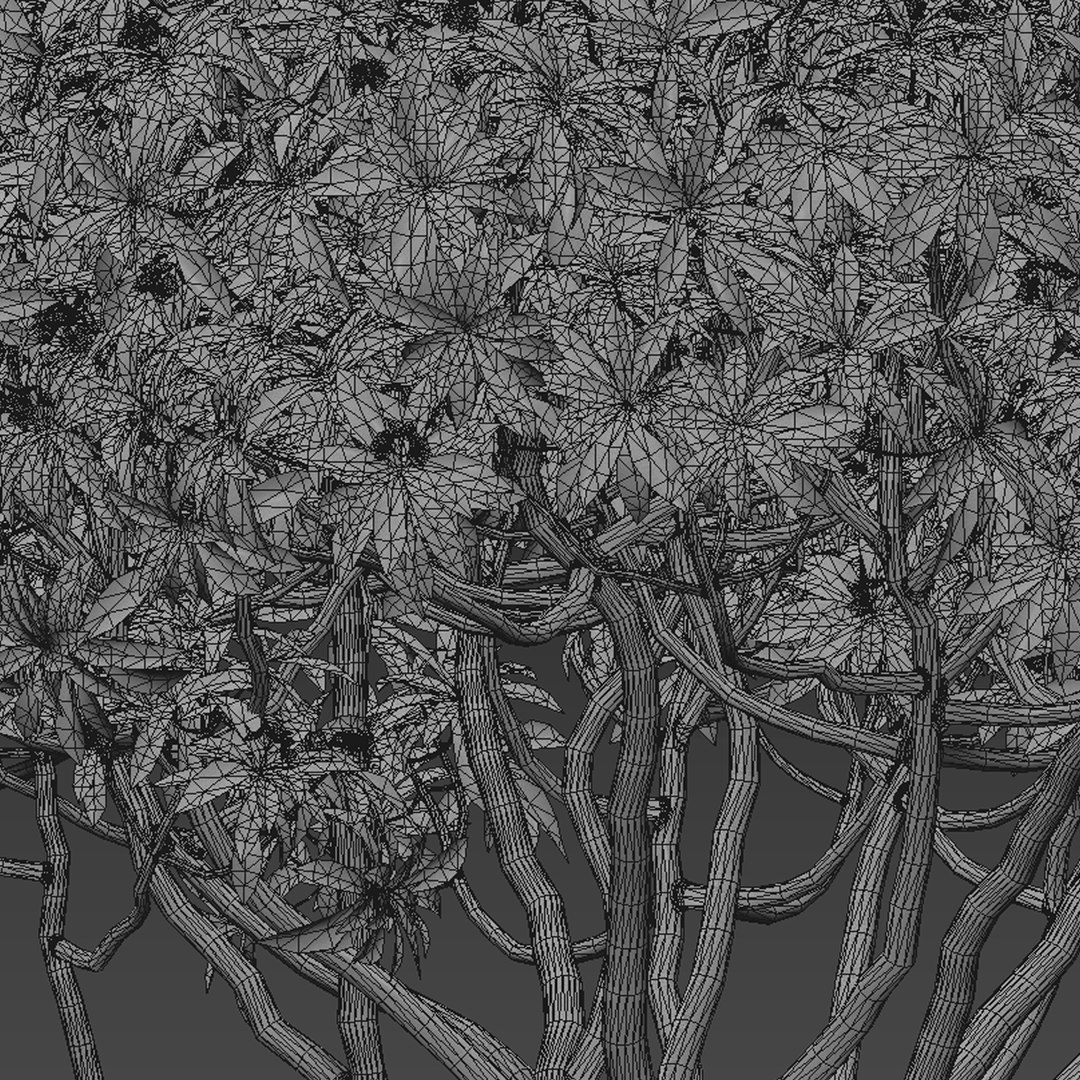 Set Of Plumeria Rubra Or Red Frangipani Tree - 3 Trees 3D Model ...