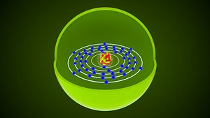 3D Tellurium Models | TurboSquid