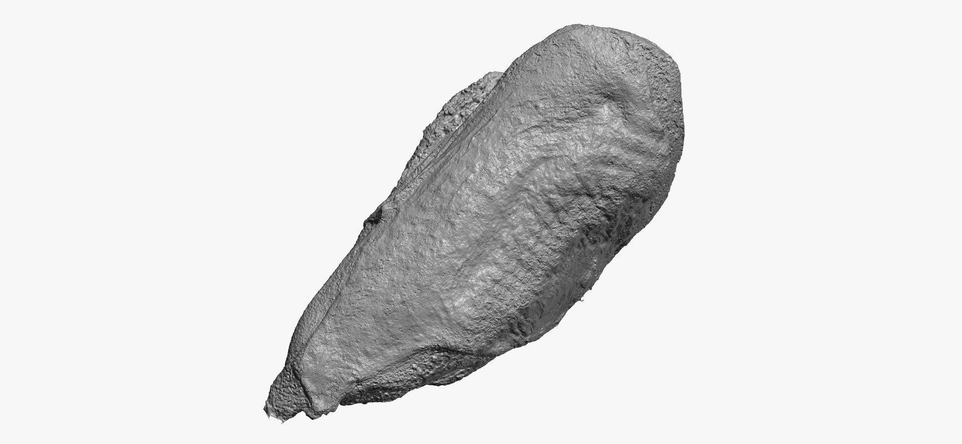 3D Chicken Breast Skin On 01 RAW Scan Model - TurboSquid 1868885