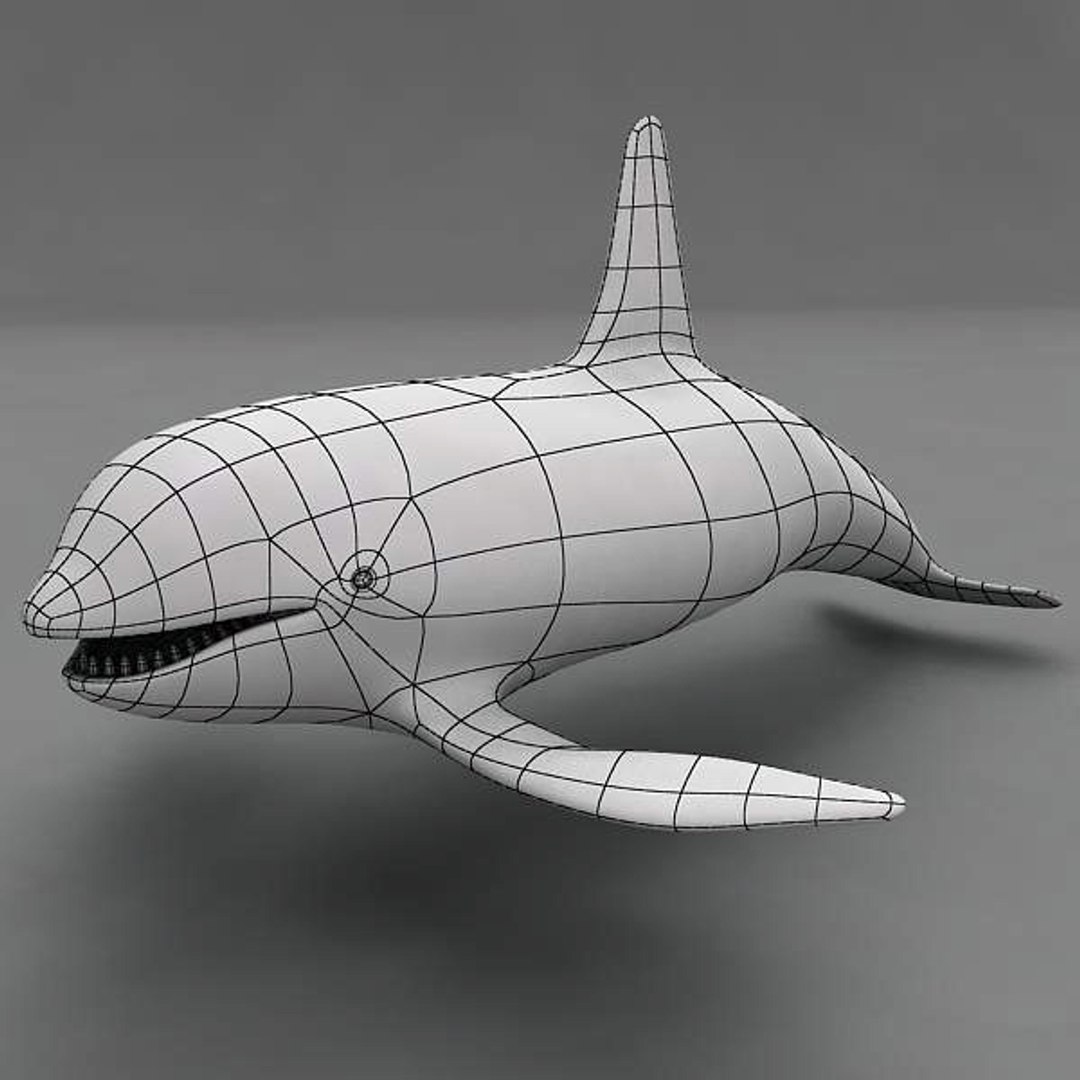 3d Orca Whale Model