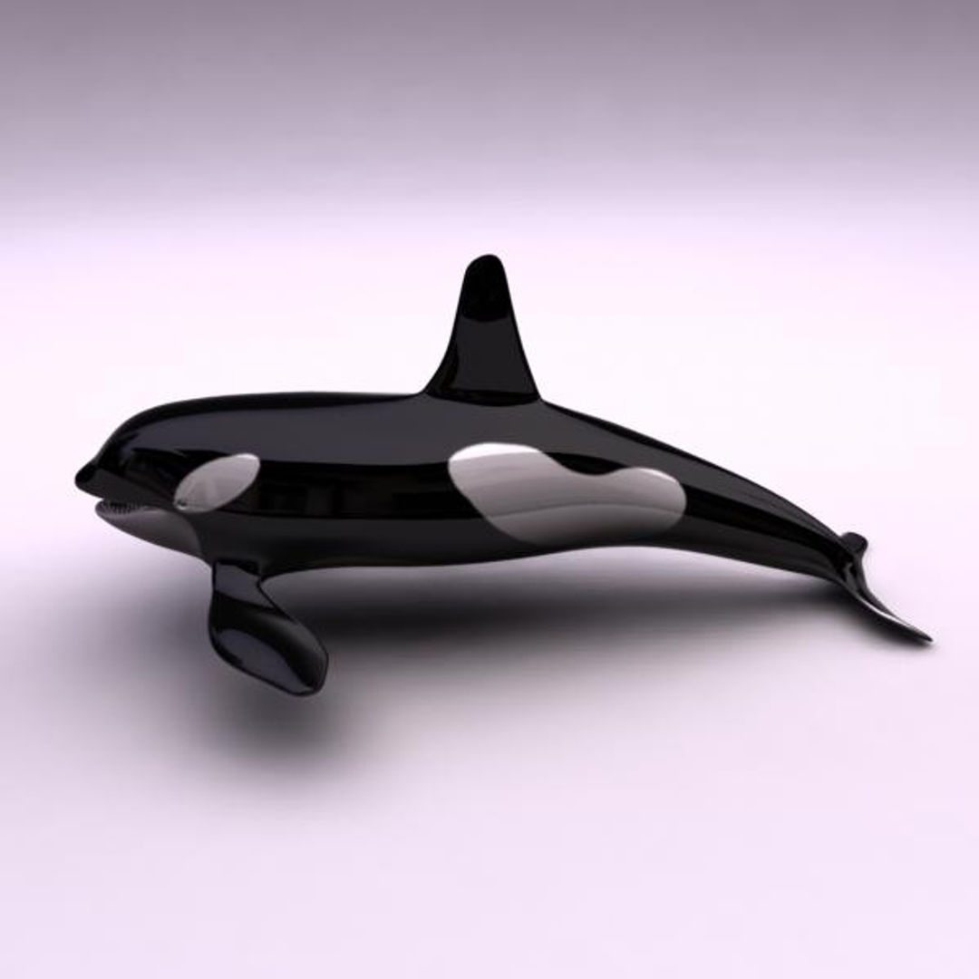 3d Orca Whale Model