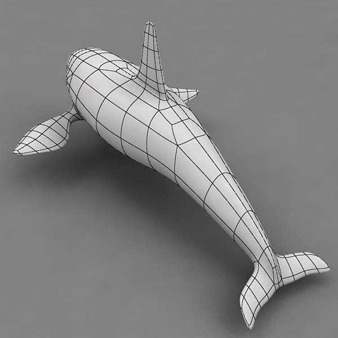 3d Orca Whale Model