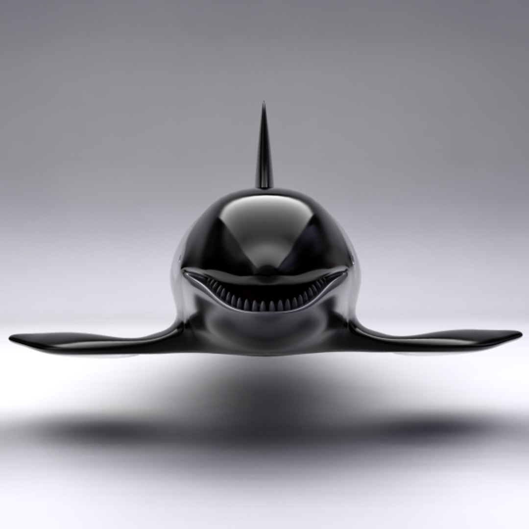 3d Orca Whale Model