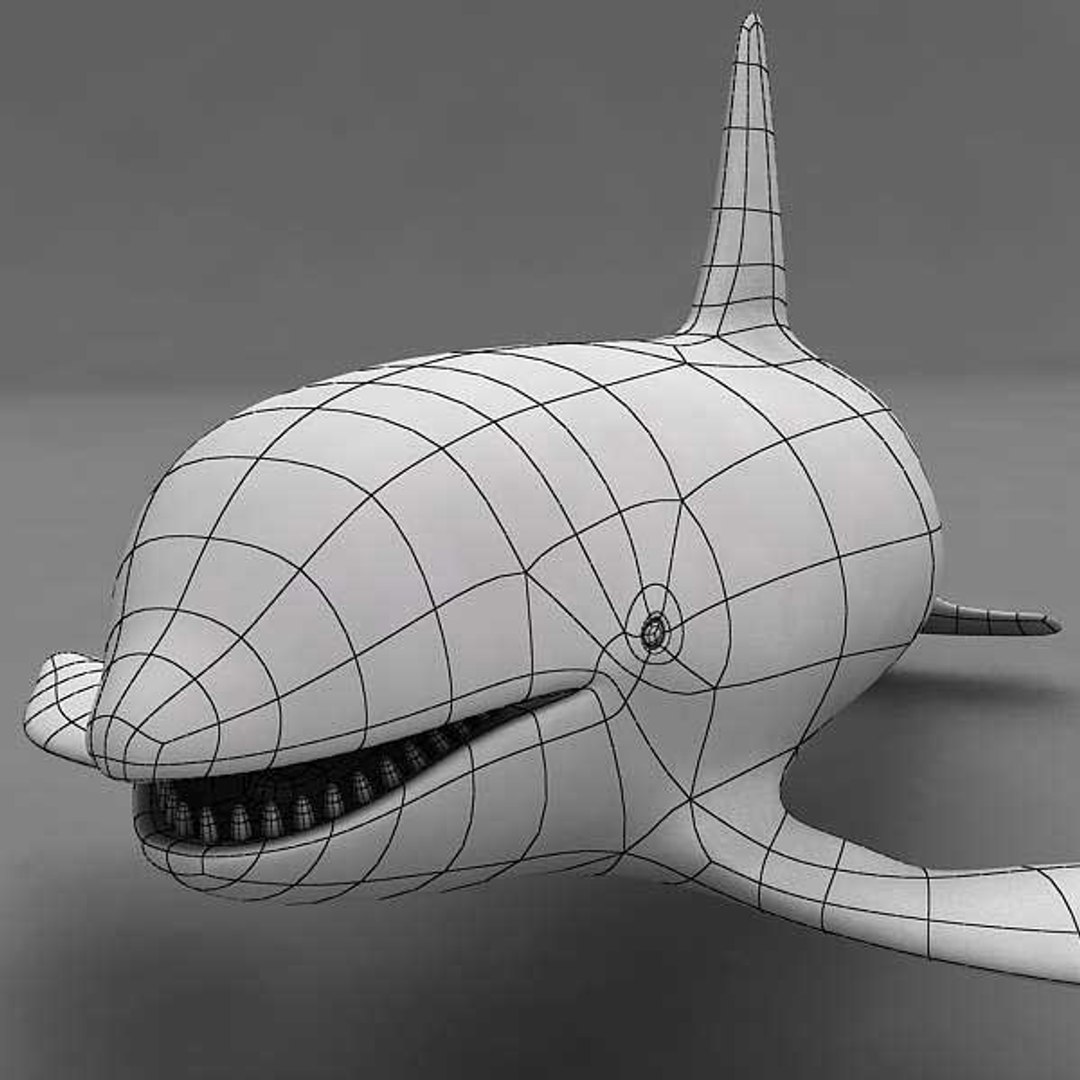 3d Orca Whale Model