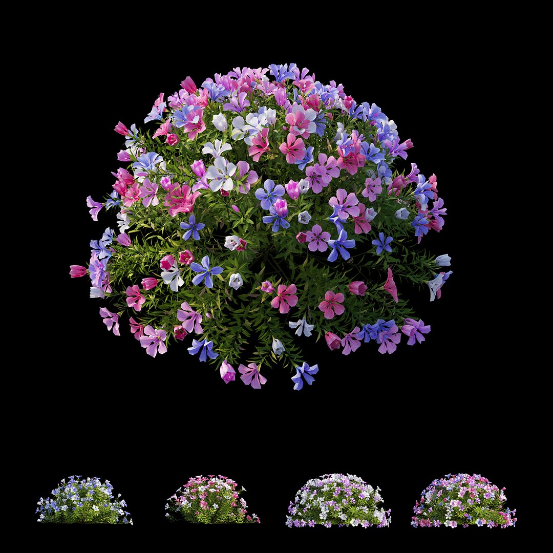 Plant flower set 10 3D model - TurboSquid 1536444
